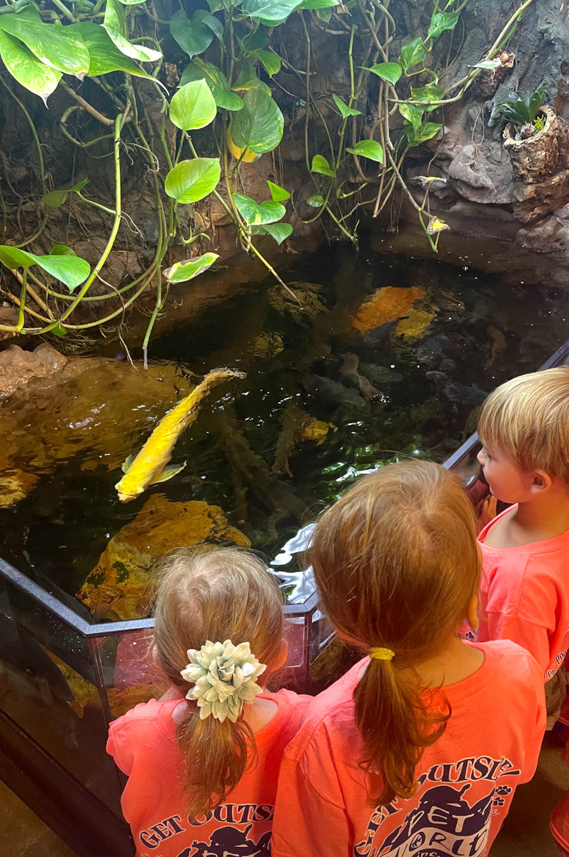 Big Critter Camp – The Nature Objective